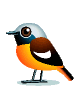 Great Animated Bird Gifs at Best Animations