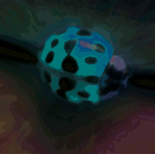 bugs-2