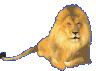 Amazing Animated Lion Gifs Best Animations