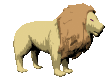 Amazing Animated Lion Gifs Best Animations