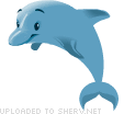 Cool Animated Dolphins Clip Art Images at Best Animations