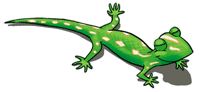 Cool Animated Lizard And Crocodile Gifs at Best Animations