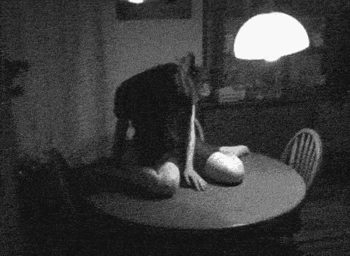 Funny Table Desk Animated Gif Pics - Best Animations