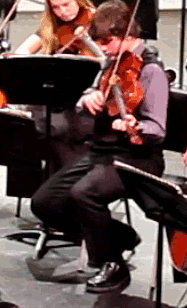 Violin Animated Art Gifs - Best Animations