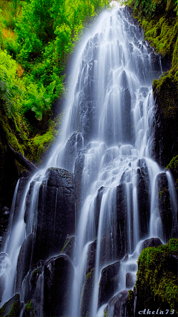 30 Beautiful Nature Animated Gifs At Best Animations 30 Beautiful Nature Animated Gifs At Best Animations