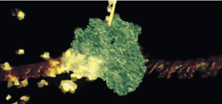 25 Great DNA Gif Animation Images - Best Animations