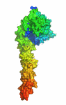 Cells Biology Animated Gifs at Best Animations