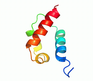 Protein Synthesis Animation Gifs at Best Animations