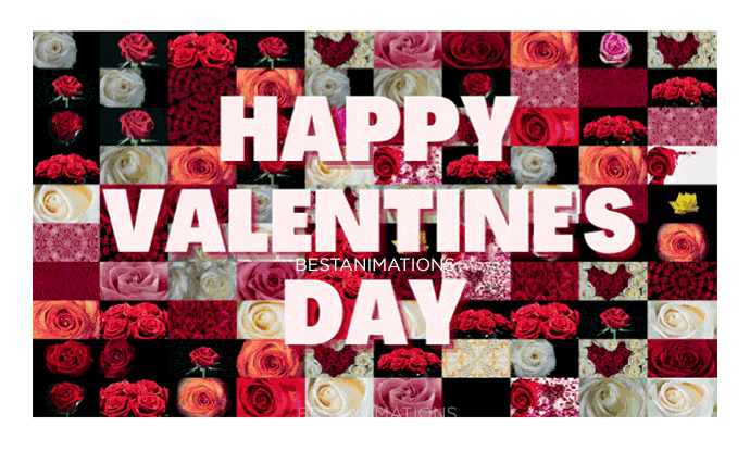 Great Valentines Day Roses Gifs
