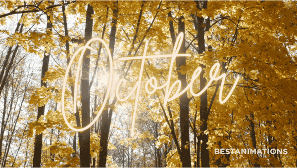 Free Animated Gifs @ Best Animations