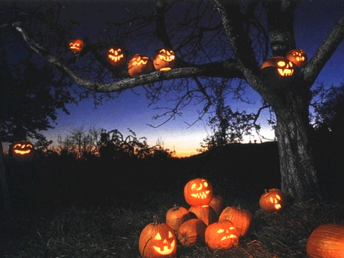 Halloween Pumpkin Gifs